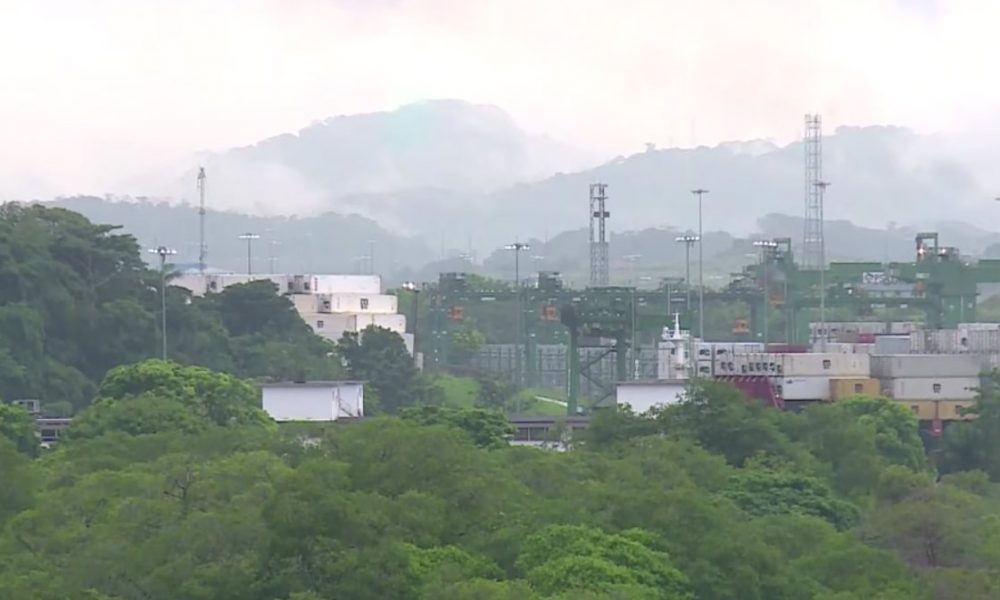 Advierten sobre los riesgos de un incinerador industrial en el Puerto ...