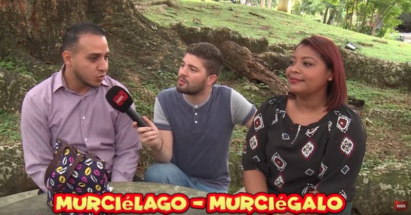 Cerebritos: ¿Cómo se dice? – NexPanama