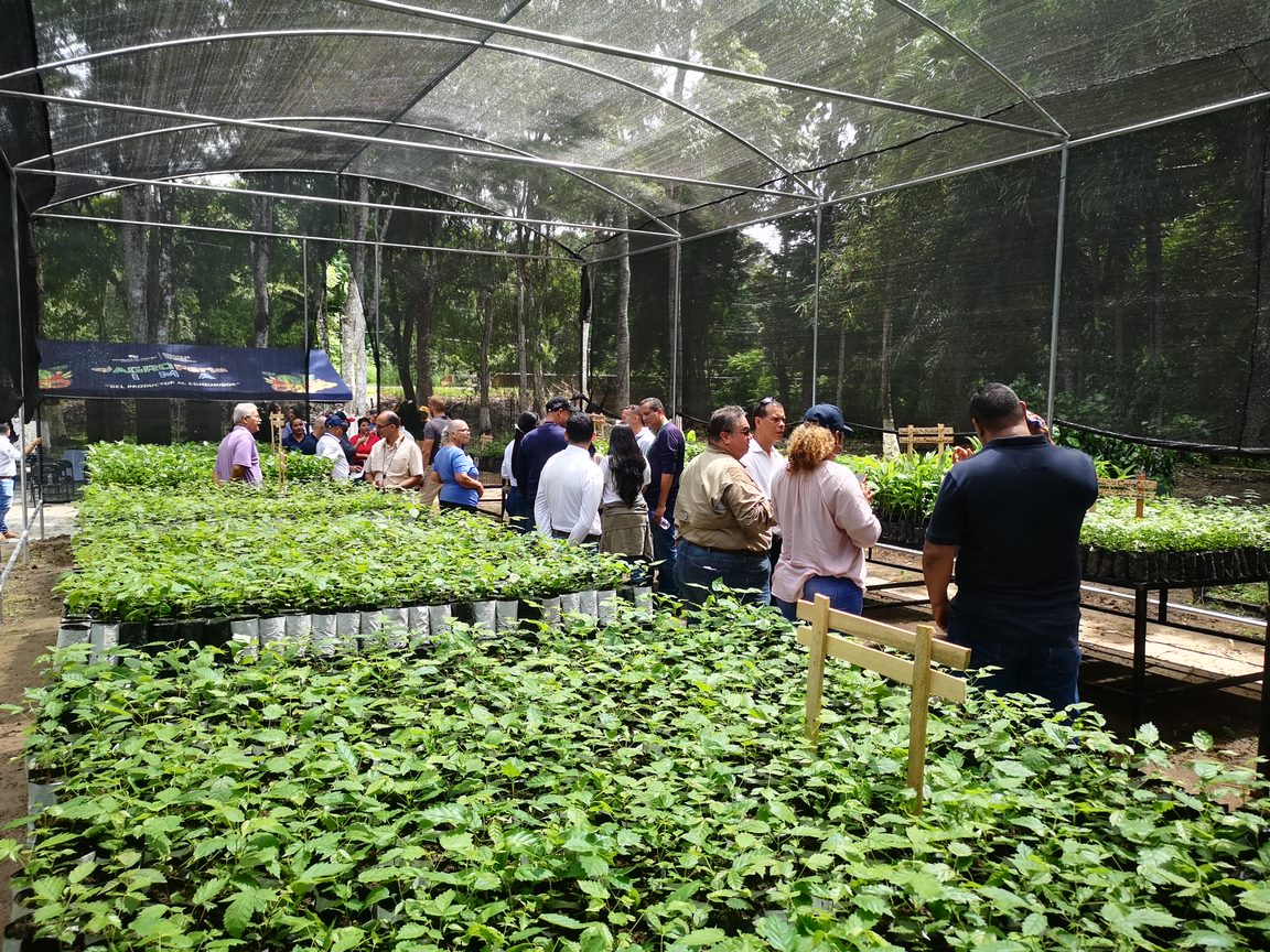 Ministerio de Ambiente inaugura vivero forestal en Chepo – NexPanama